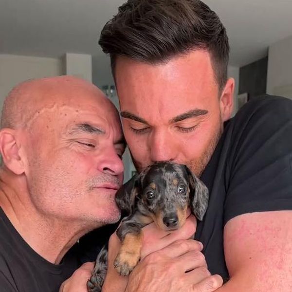 Stefano Zarrella Hund