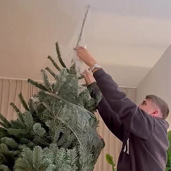 Dustin Schöne | Promiflash