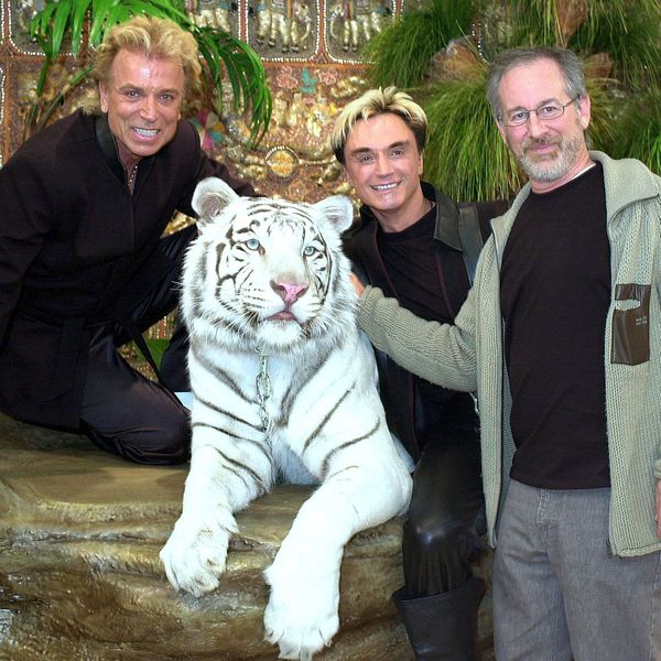 Steven Spielberg | Promiflash