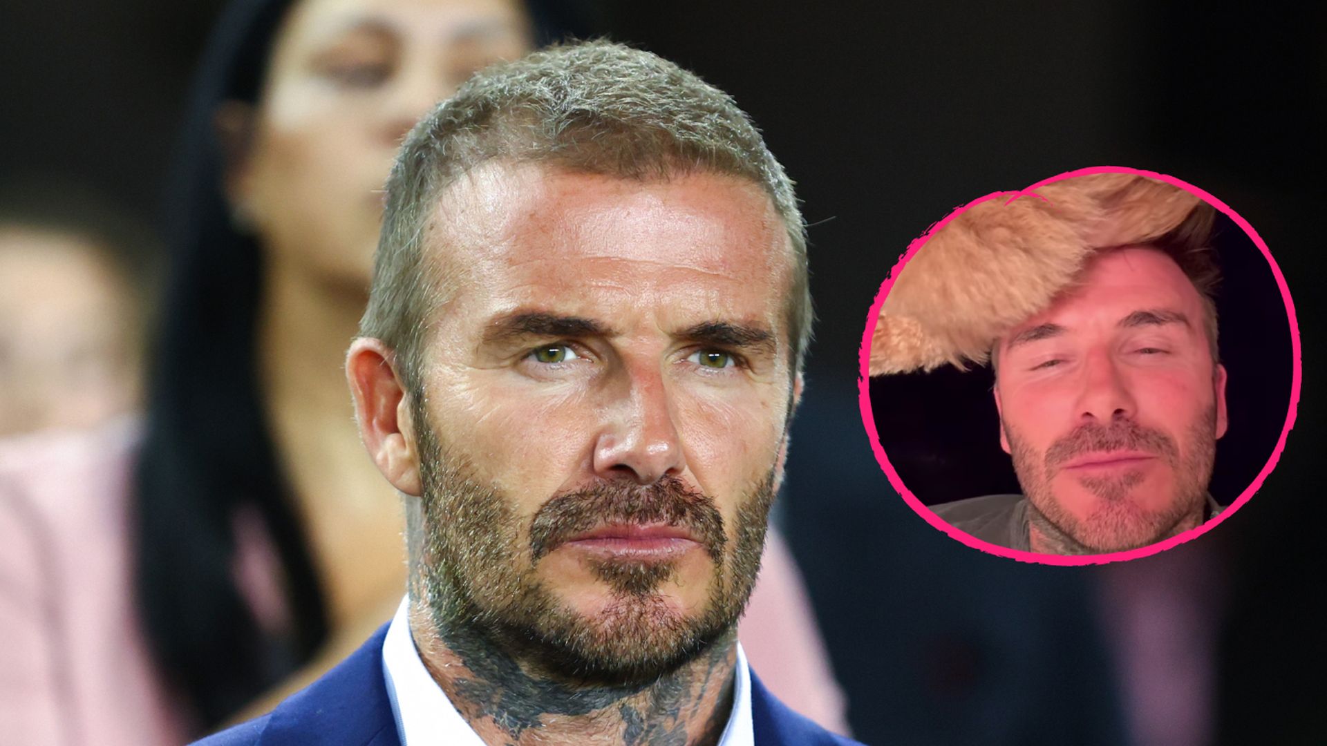 Niedlich! David Beckham kuschelt im Netz mit seinem Hund