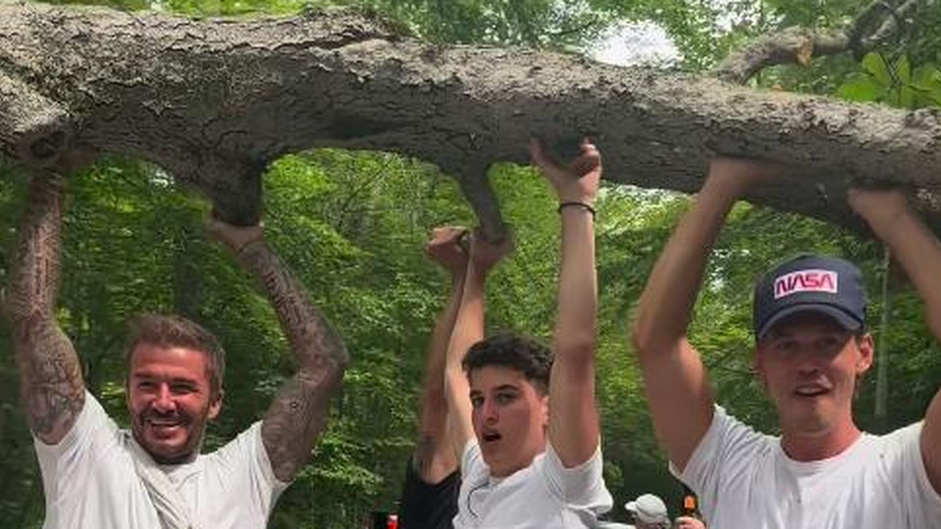 David Beckham und Austin Butler befreien Straße von Baum