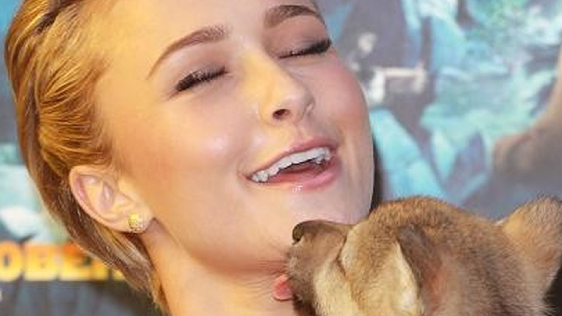 Wie süß: Hayden Panettiere knuddelt Wolfswelpe! | Promiflash.de