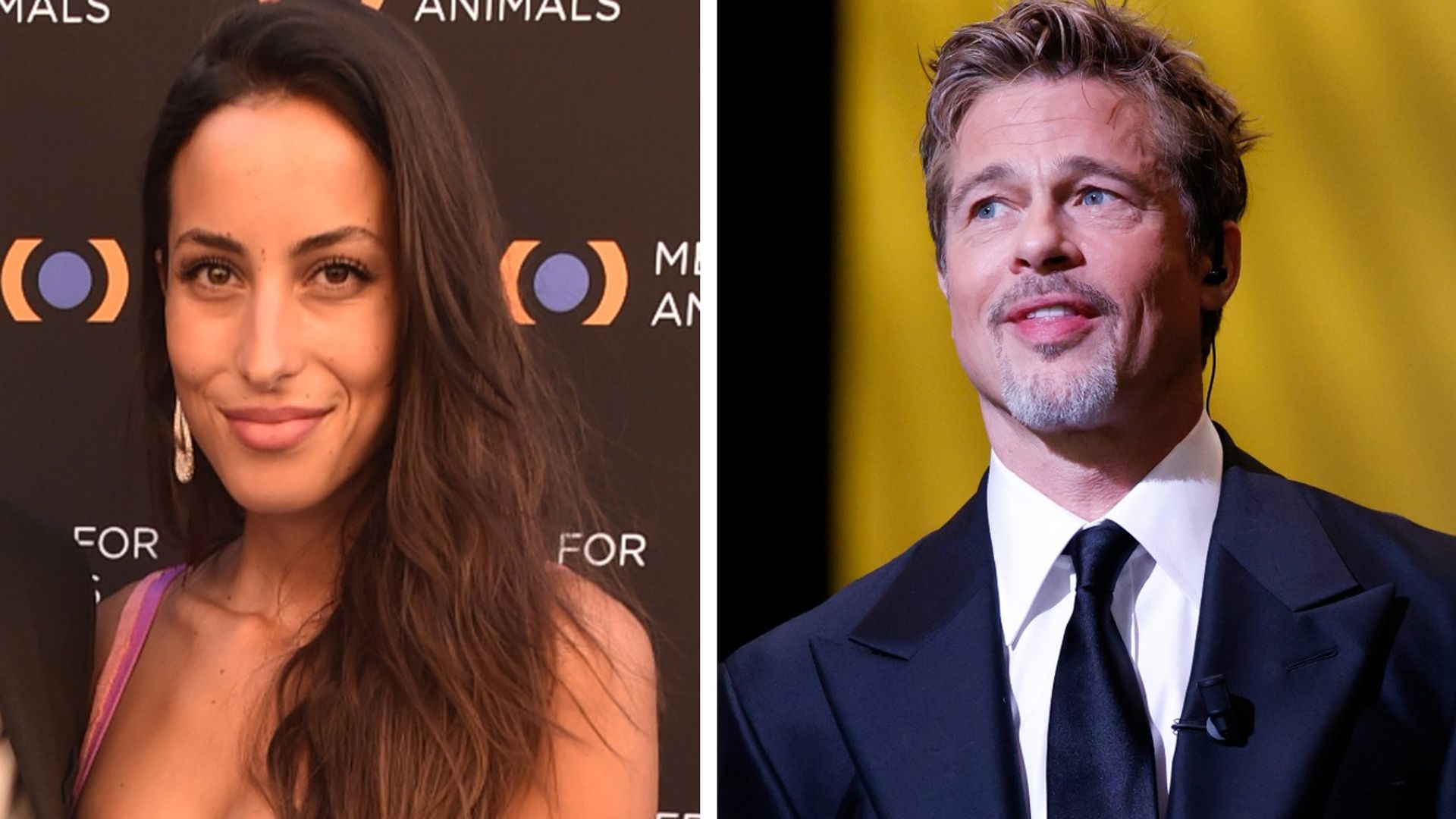 Trotz Scheidungsdrama: Ines liebt Brad Pitt mehr denn je!